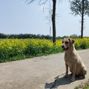 流落银河系边界 