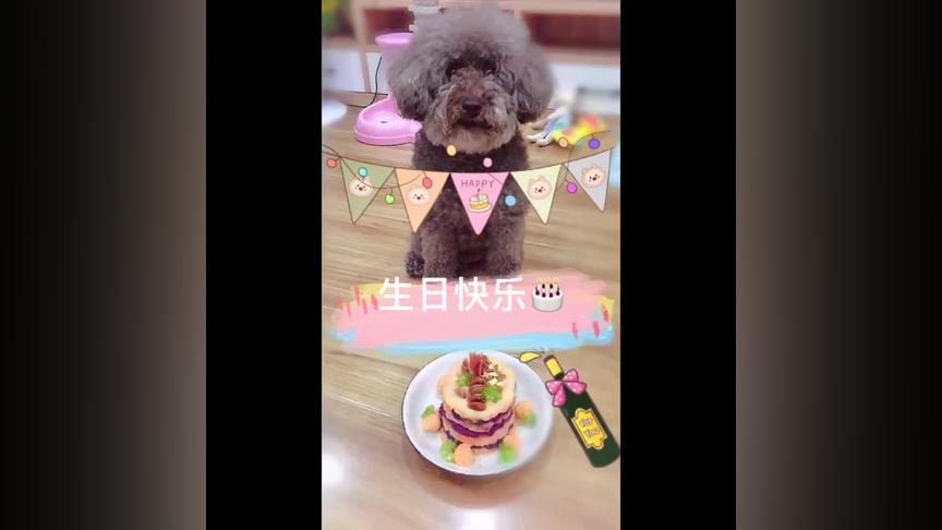 #宠物蛋糕 #创意美食