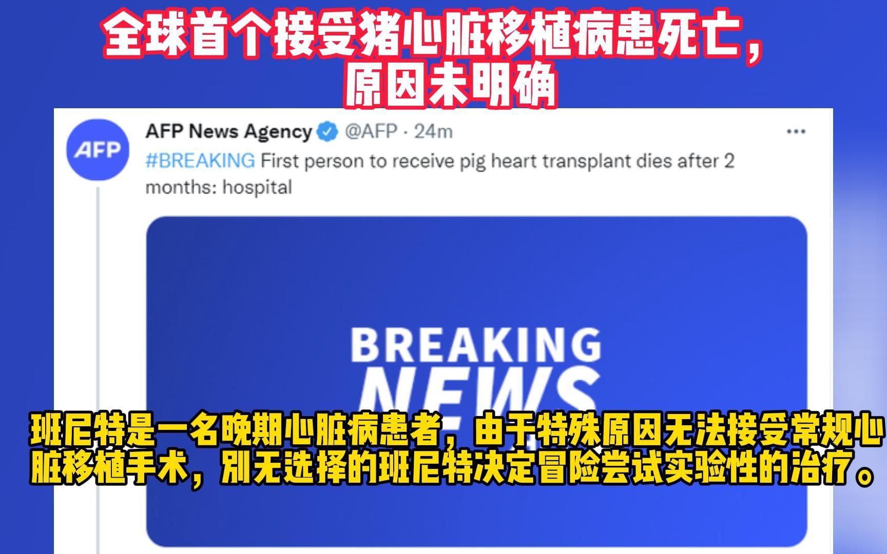 全球首例猪心脏移植患者在手术两个月后死亡,感谢每一个为了医学...