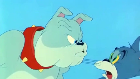 猫和老鼠:汤姆追赶杰瑞,被杰瑞戏耍,智商堪忧