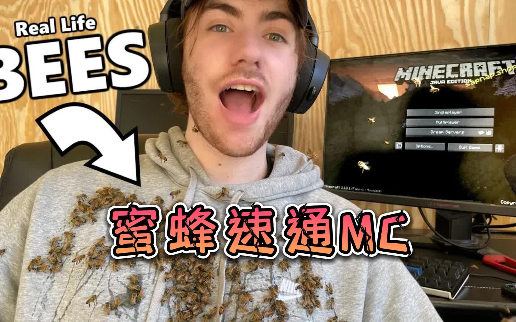 我的世界:sapnap挑战在蜜蜂包围下通关mc