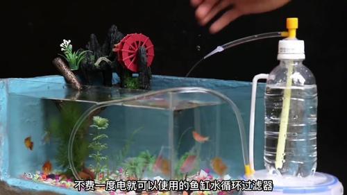 不费一度电的,自制鱼缸水循环过滤器,节能又环保