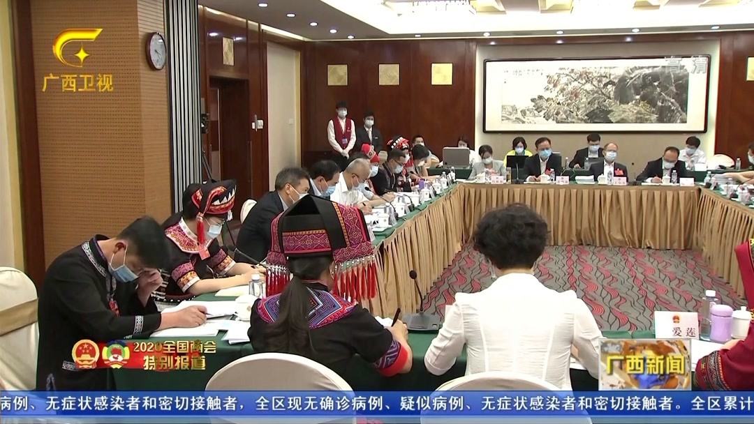 广西代表团分组审议审查有关报告