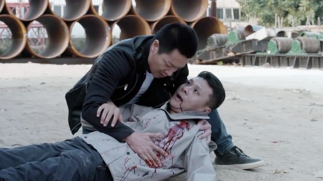 功勋缉毒警察为逮捕毒贩,被毒贩袭击壮烈牺牲,局长听完都佩服了