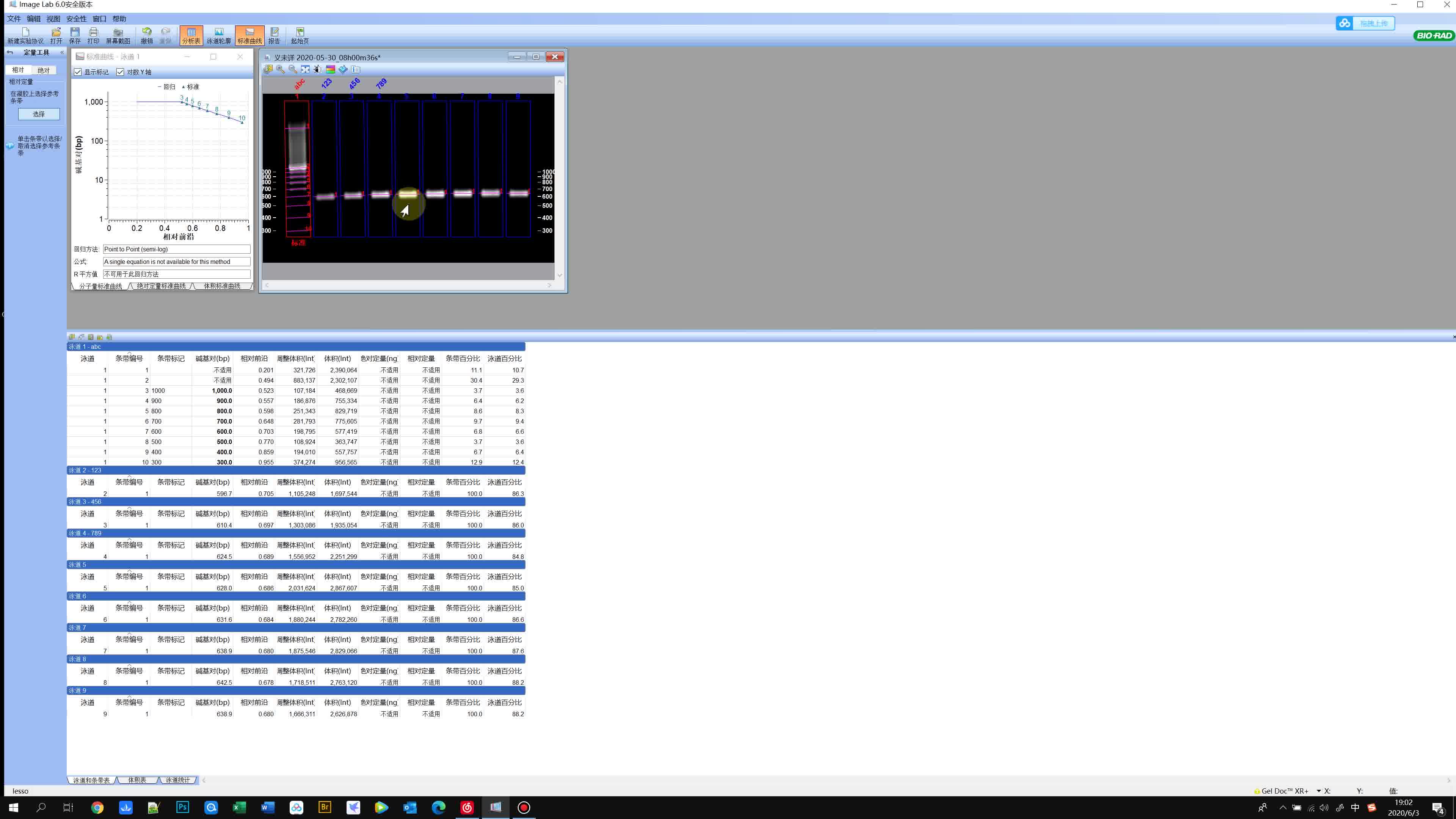 Bio-Rad凝胶成像仪ImageLab软件应用(Final)