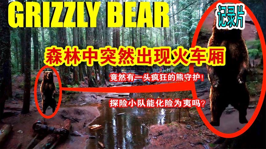 纪录片:森林中突然出现的火车厢,竟然有一头疯狂的熊守护!