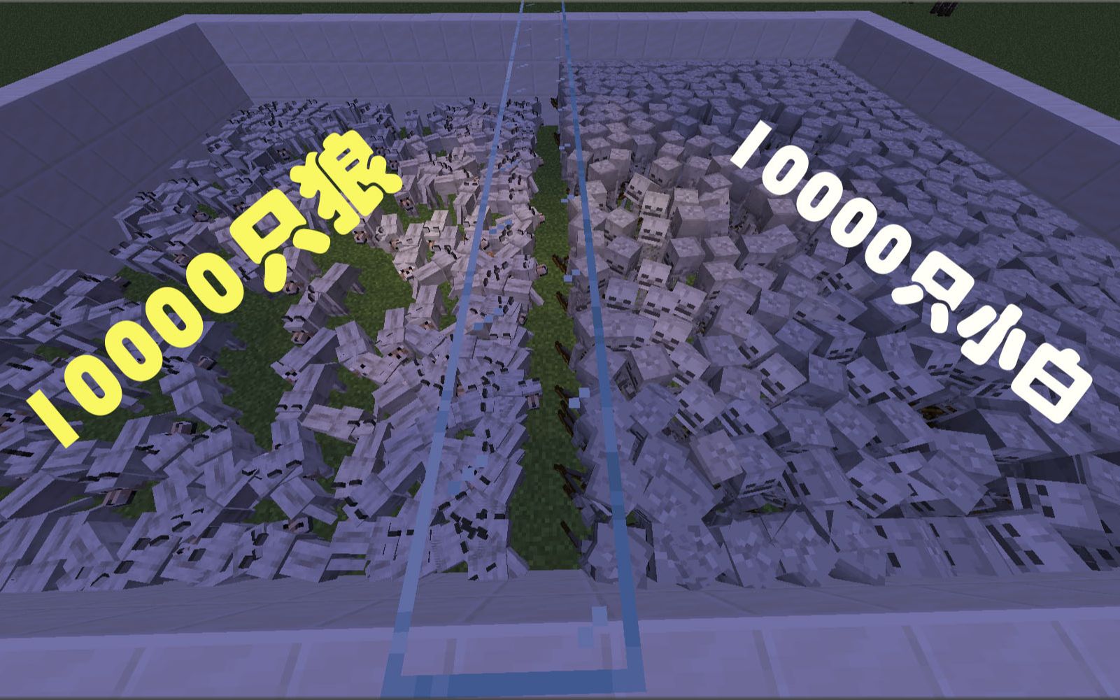 我的世界作死挑战:10000只狼vs10000只小白 我能活下来吗