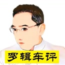 罗辑车评 