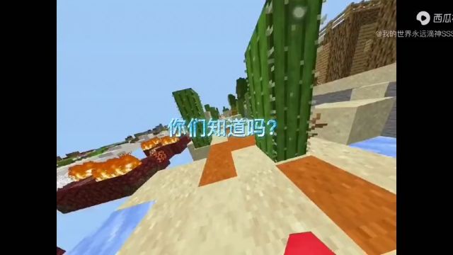 我的世界主播大合集