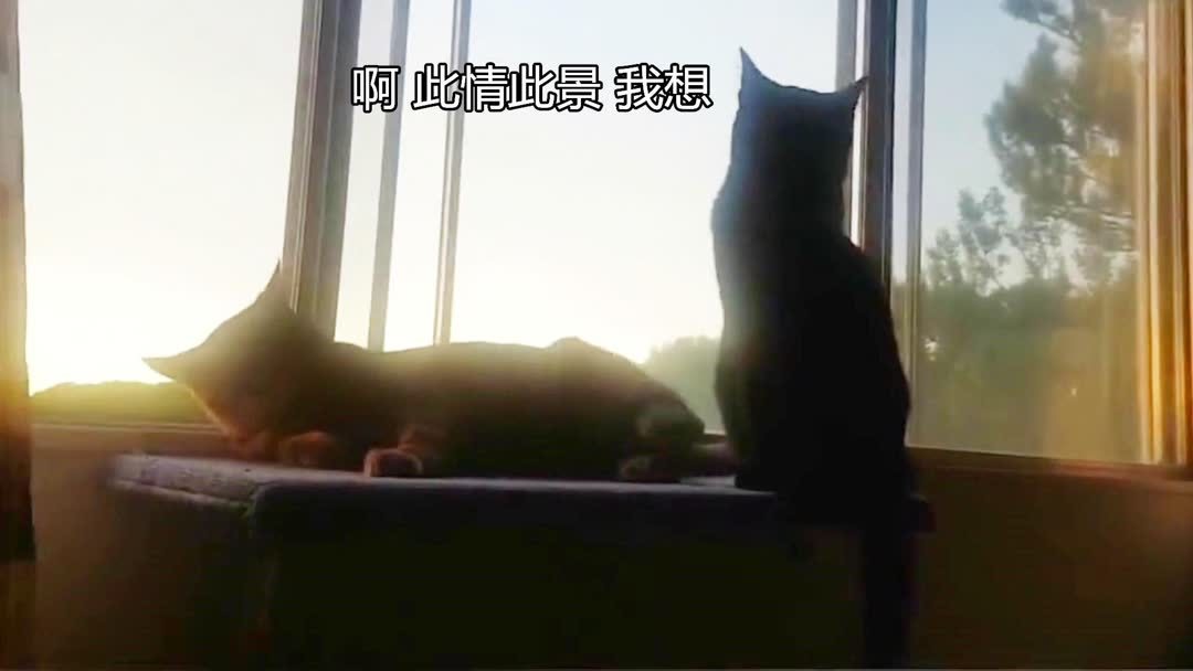 你幼儿园还没毕业呢 你总吟什么诗