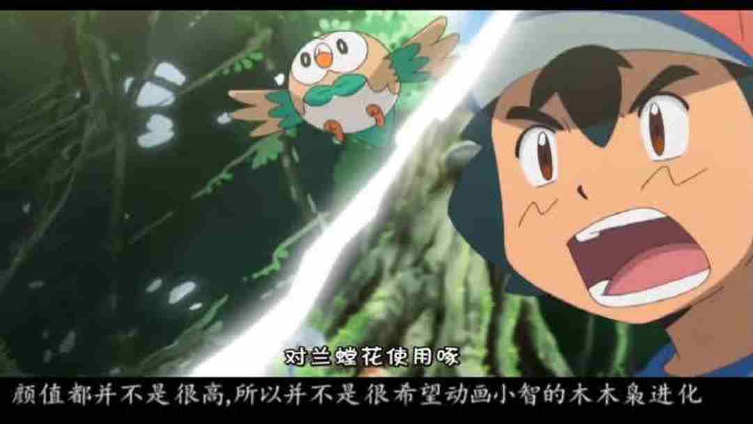 《精灵宝可梦》:你见过如此可爱的木木枭吗