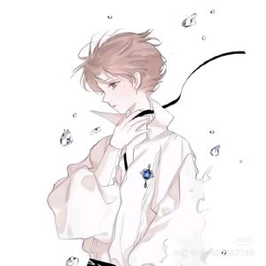 虚伪Camouflage 