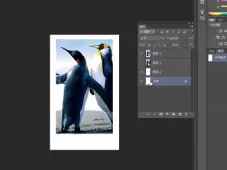 ps教程ps学习ps全套ps视频ps安装ps调色ps手绘ps入门ps抠图ps合成...
