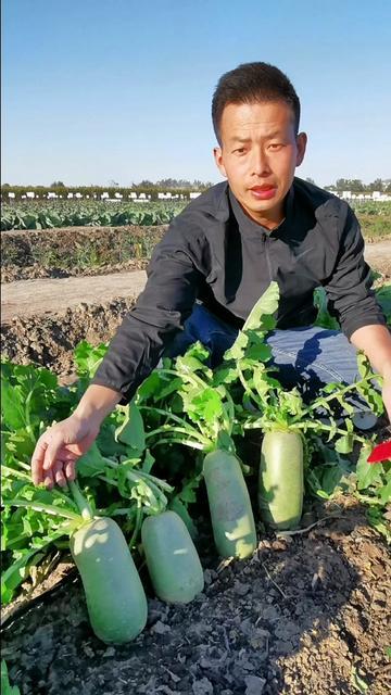 种植小技巧新农人计划2021农业种植