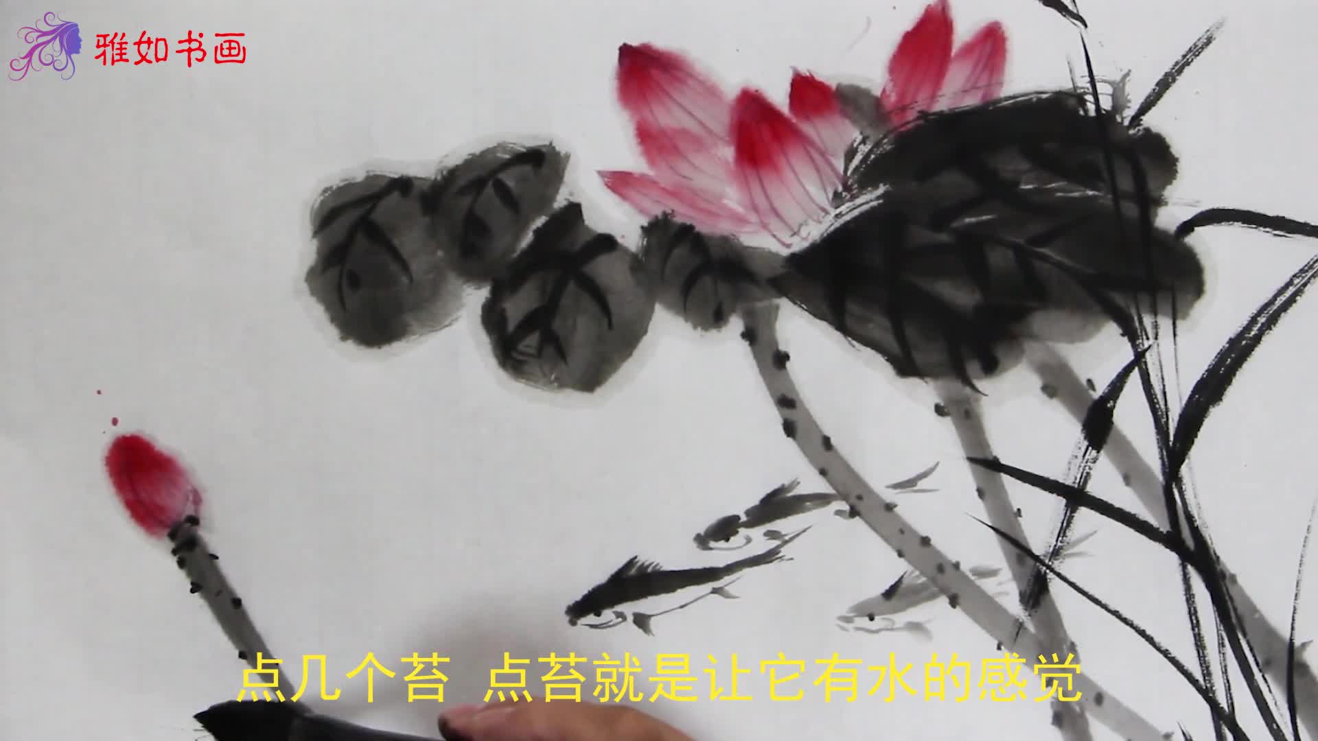 荷花国画荷花画法教程,简单漂亮,讲解到位,这样的荷花太美了