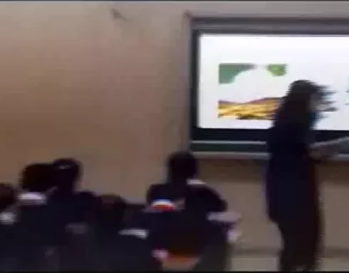 ...语文下册第二单元6. 大自然的语言-曹老师公开优质课(配视频课件教案)