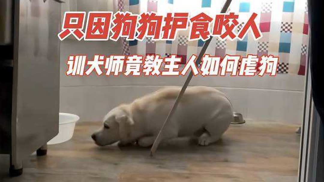 狗狗护食咬人,进入护食状态就没法控制,训犬师竟教主人如何虐狗