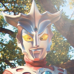 一个路过的赛罗而已 