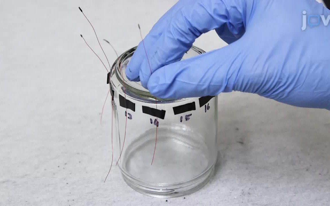 扣式电池参比电极制造方法