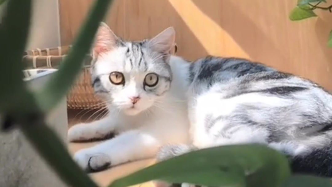 王泡芙:坐车一定要挨着坐每次俯视泡芙都想使劲揉捏再猛吸一口