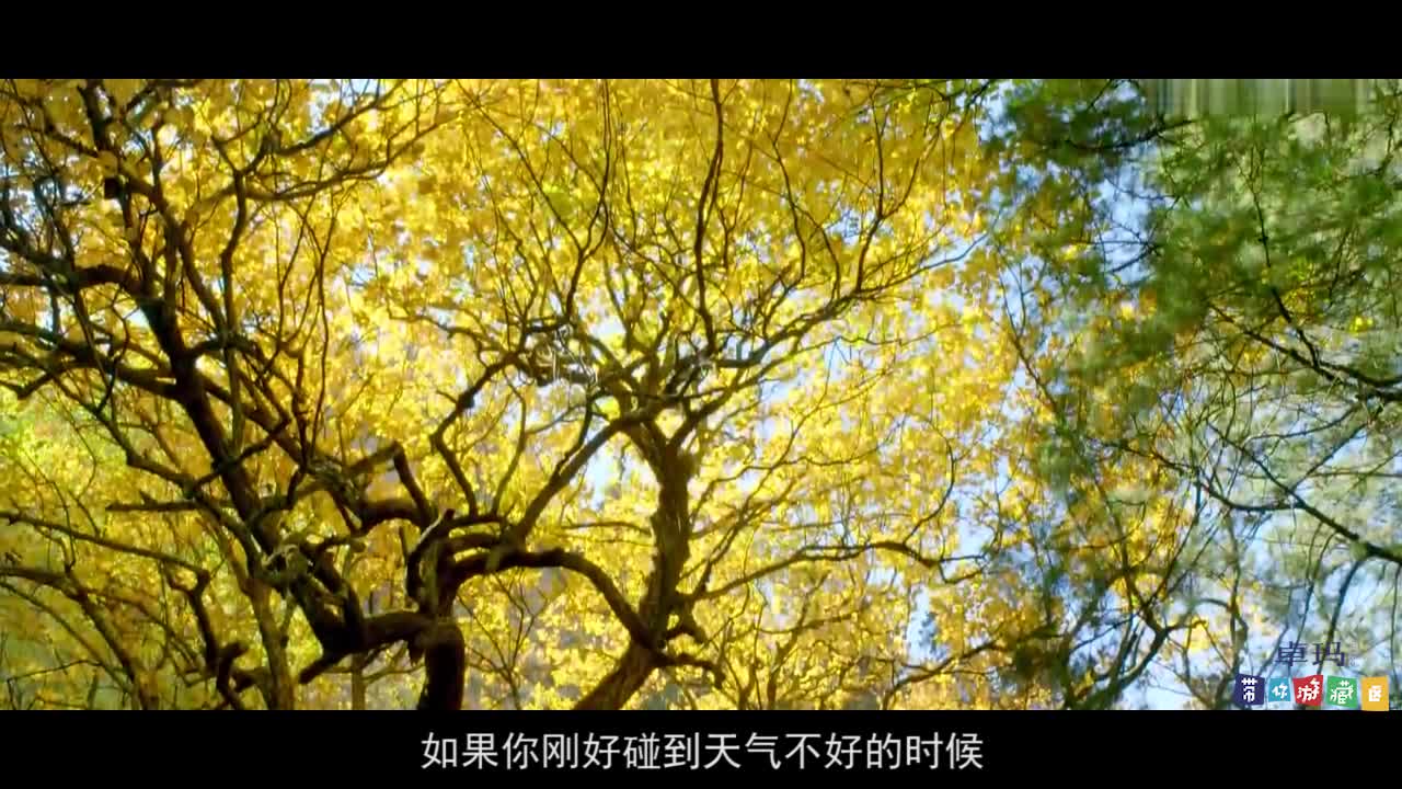 看完这个视频,你还敢去稻城亚丁旅游吗?