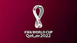 2022年卡塔尔世界杯第九日战况