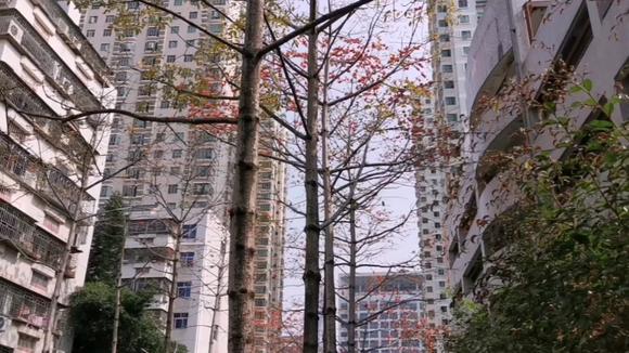 备孕试管取卵第一天