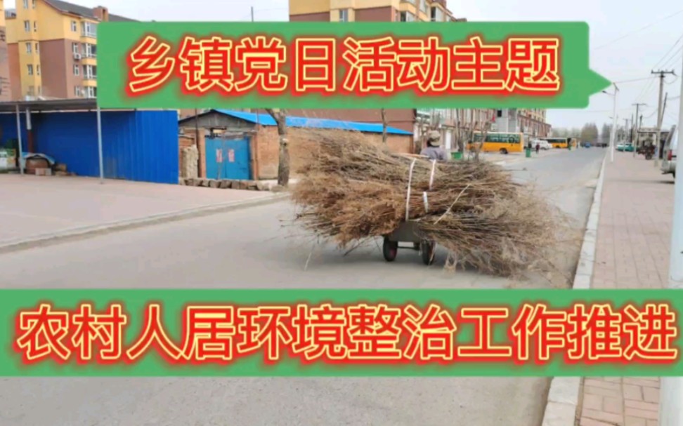 乡镇日常——4月份主题党日暨农村人居环境整治工作推进会