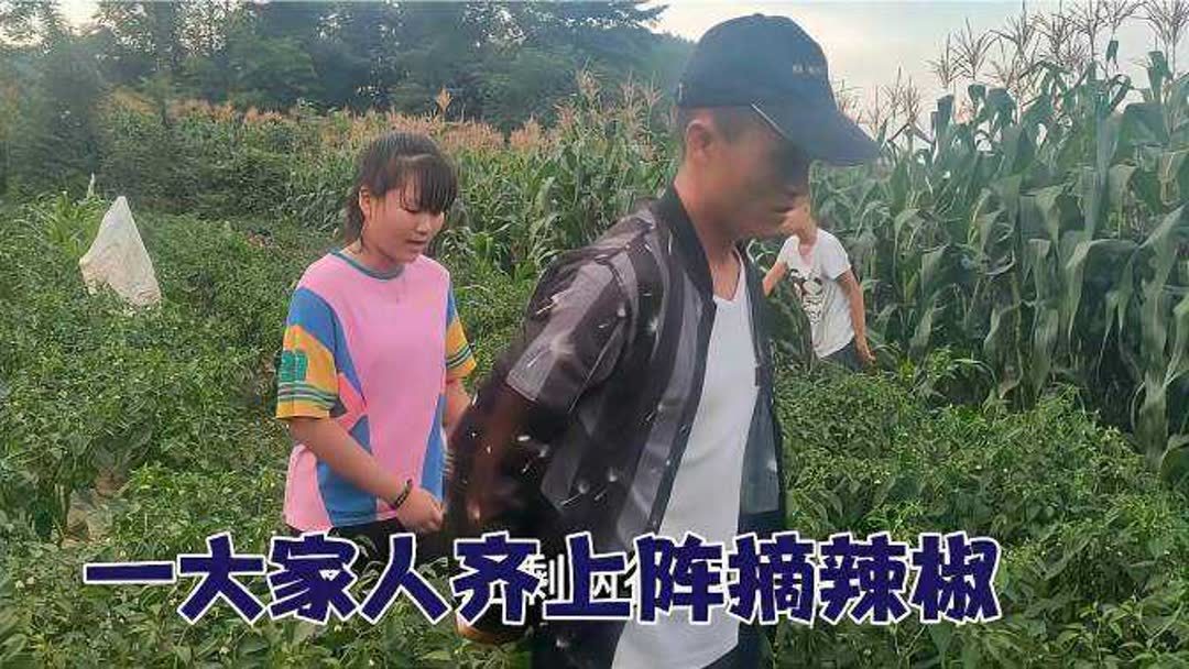 小伟两头跑,又要顾好自己的生意,又想帮哥哥嫂子突击农活