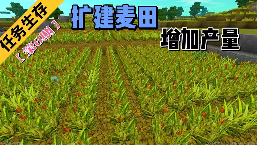 迷你世界任务生存6:扩建麦田,建阶梯状麦田增加小麦产量