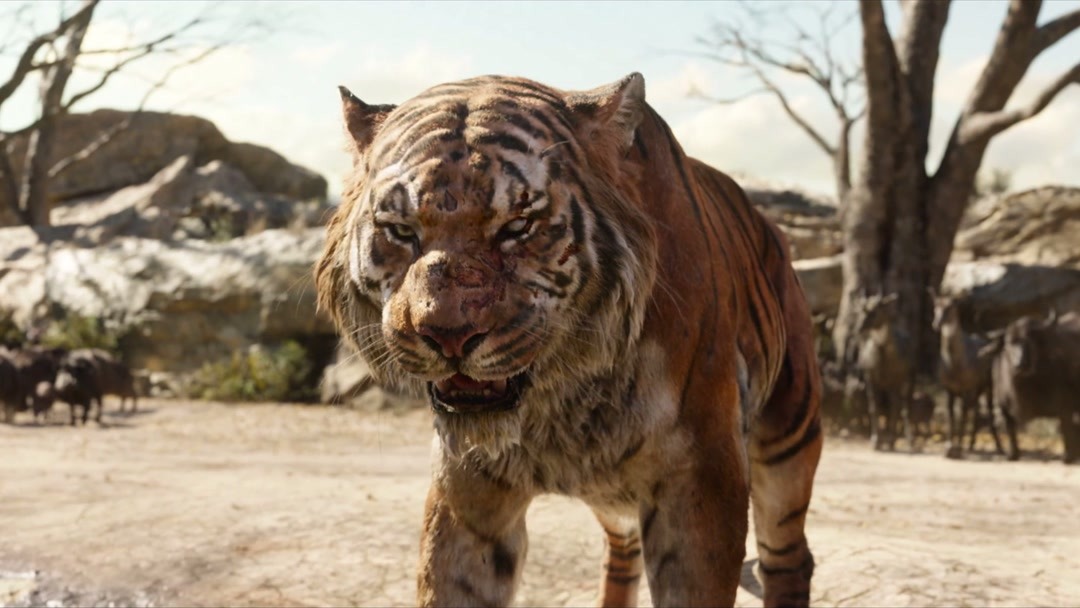 森林之王果然让所有动物不寒而栗,只有狼族站出来保护人类?