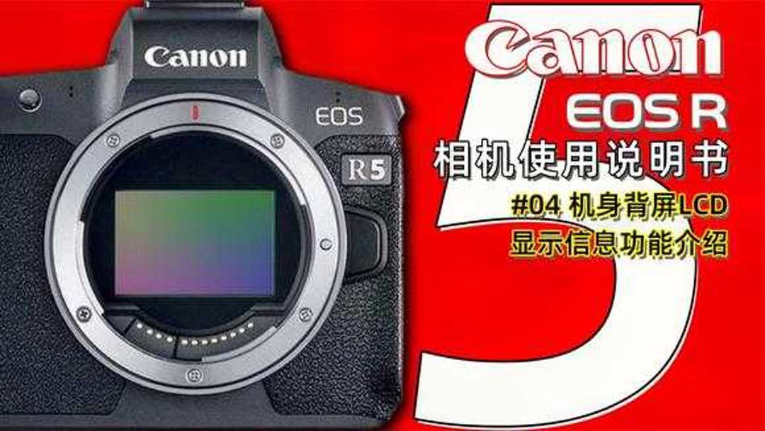佳能R5/R6 机身背屏LCD显示信息功能介绍 相机使用说明书