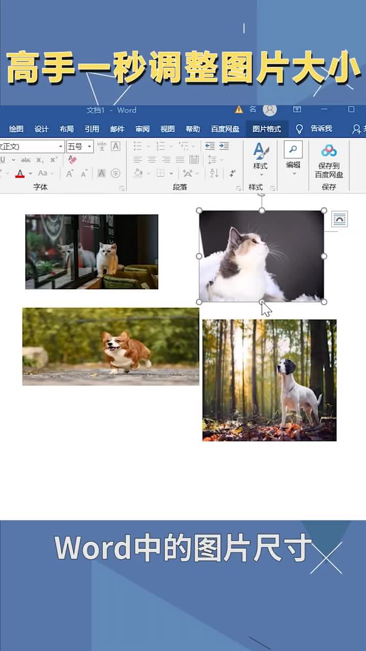 ...Word文档1秒批量调整图片