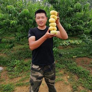 农村庆子 