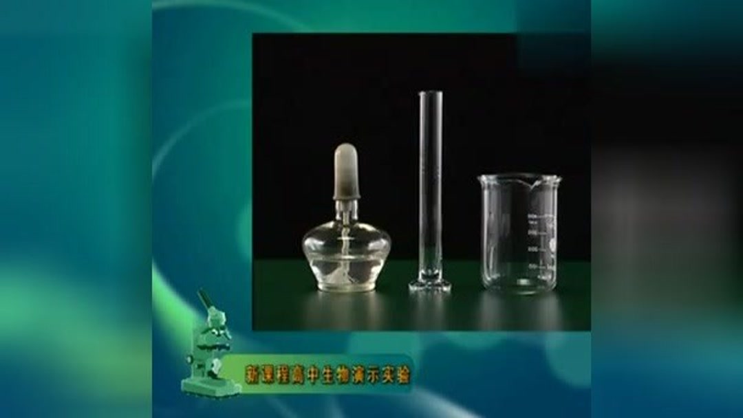 比较过氧化氢在不同条件下的分解.mp4