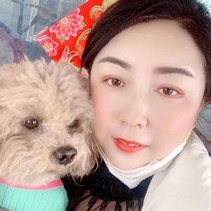 上海嘉新汽车销售有限公司 