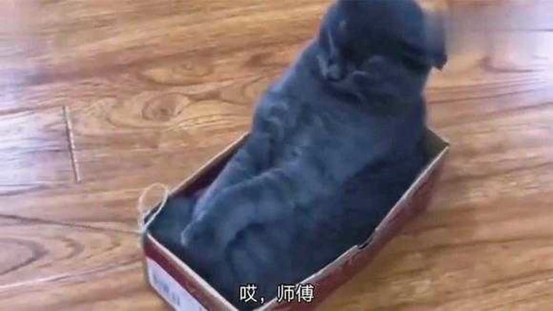 搞笑集合:今天在医院大屏幕上看到一个名字,我是做搞笑的