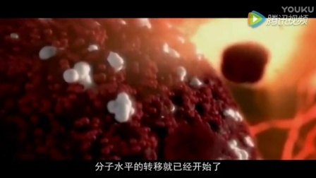 河北宇航科技集团细胞结构动态