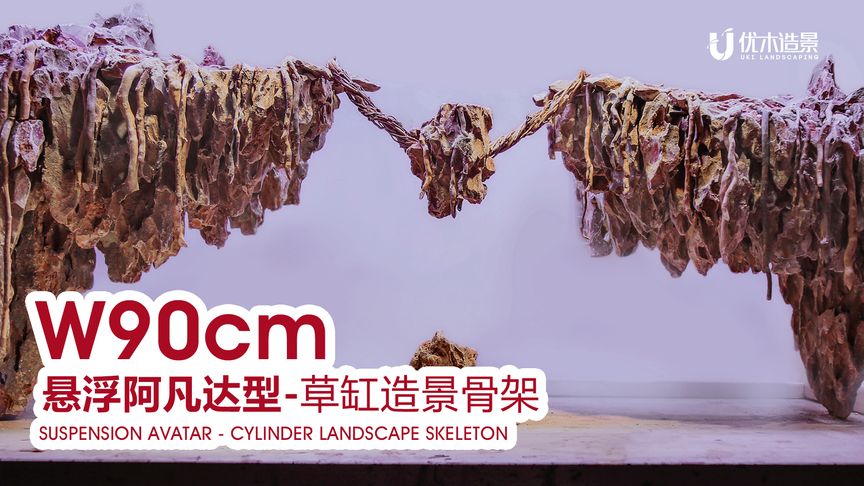 纯松皮石打造的悬浮式阿凡达型的草缸造景骨架作品