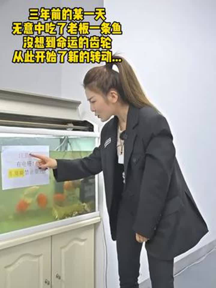 #命运的齿轮开始转动 你们是从哪条视频认识的我呢