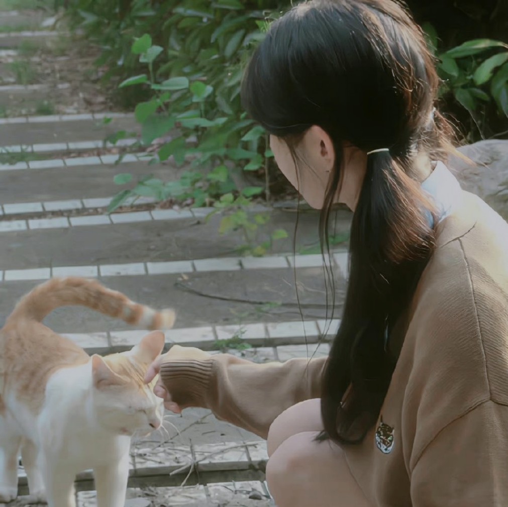 糖糖唐脑鸭 