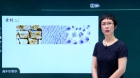 第2节 细胞的多样性和统一性_名师课(生物学高一上册)孟老师