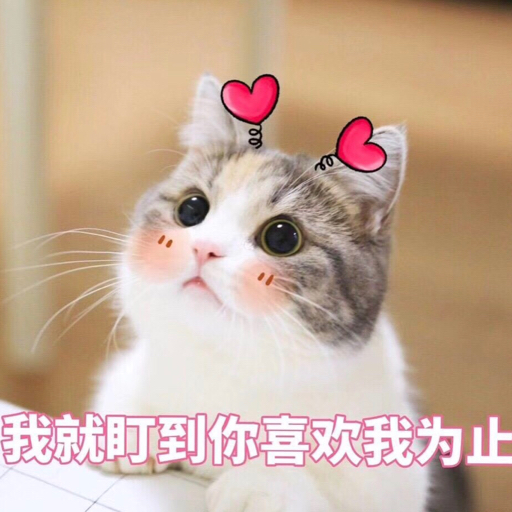 写字的蕊蕊 