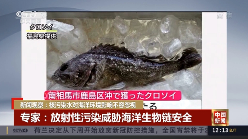 [中国新闻]新闻观察:核污染水对海洋环境影响不容忽视