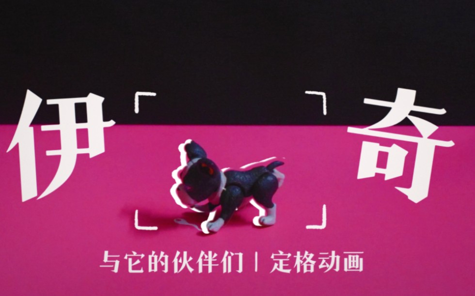 【JOJO】定格动画|伊奇与它的伙伴们