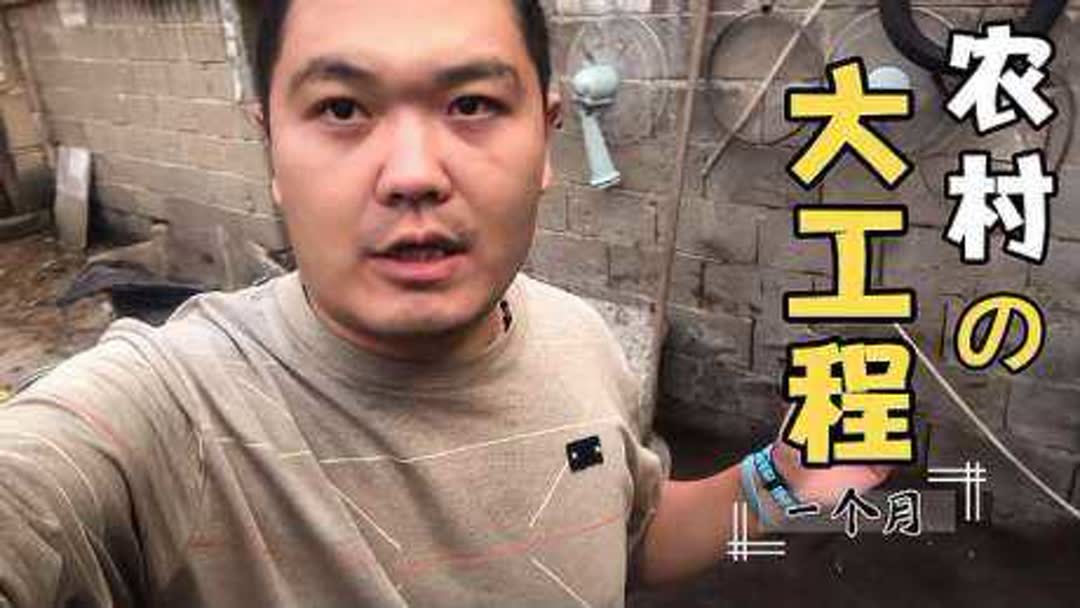 苯苯要在农村搞个大工程,初步预案已经想好,大家觉得能实现吗