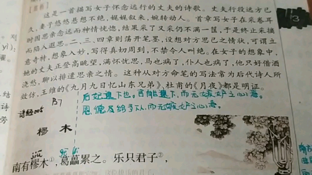 《诗经·风·周南·樛木》