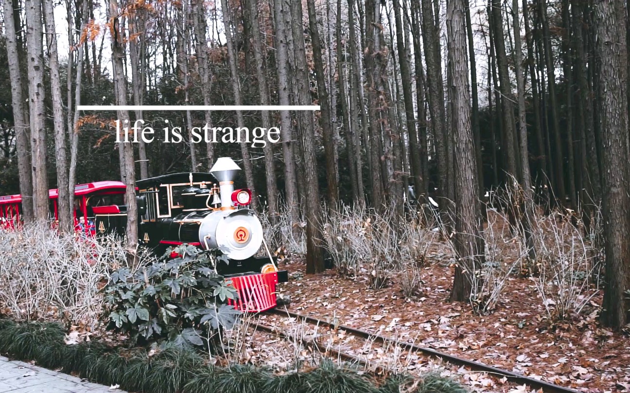 A7R3+24GM手持拍摄视频(新手处女作)