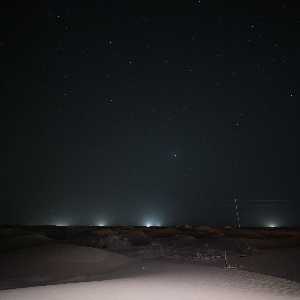 塔里木干饭王Mortal_FC 