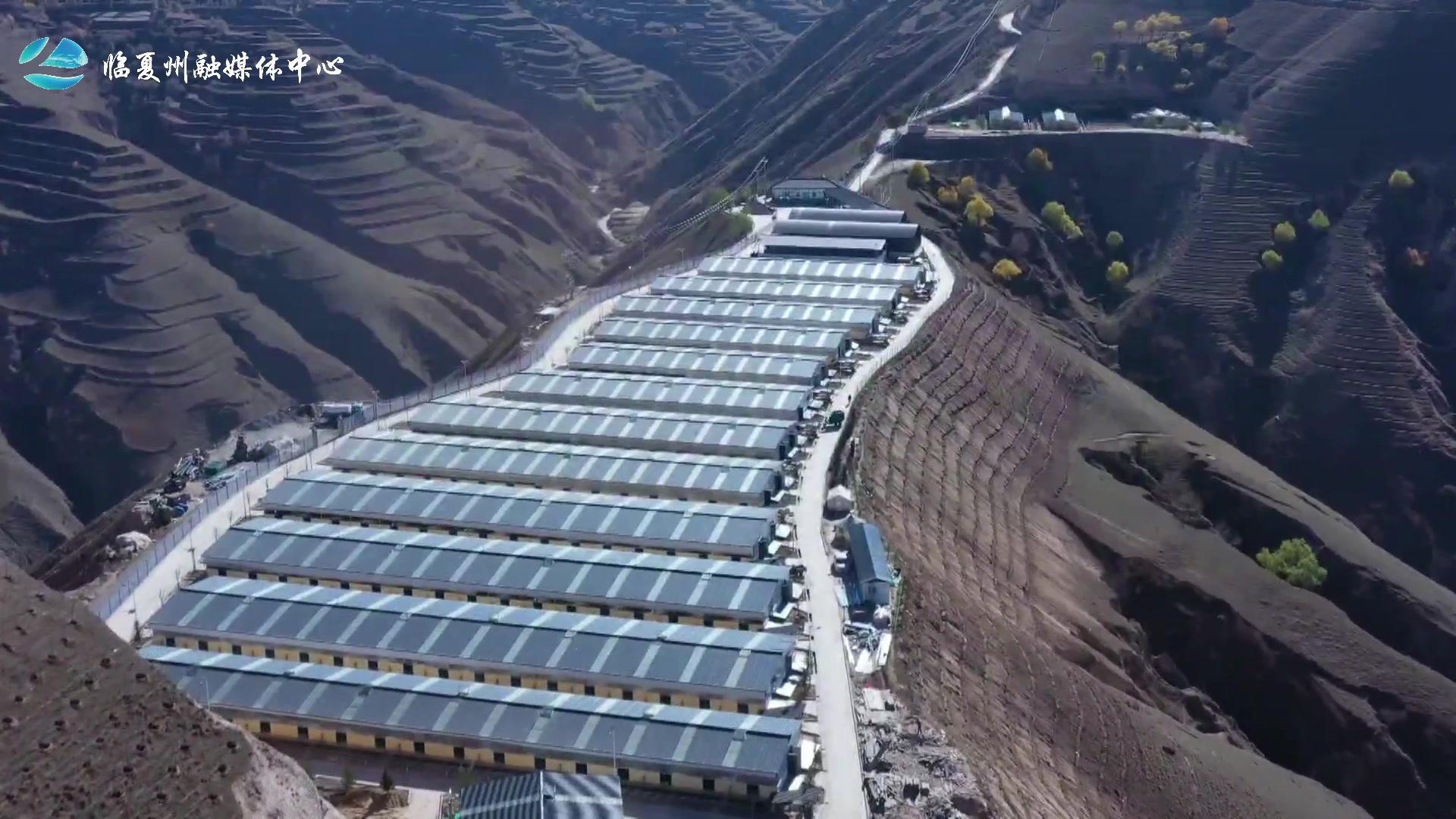 ...临夏州围绕打造“畜牧百亿级产业”的目标任务,不断推进畜牧业转型...